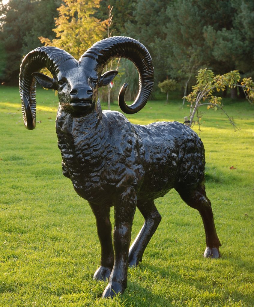 Giant Ram - Garden Wonders UK
