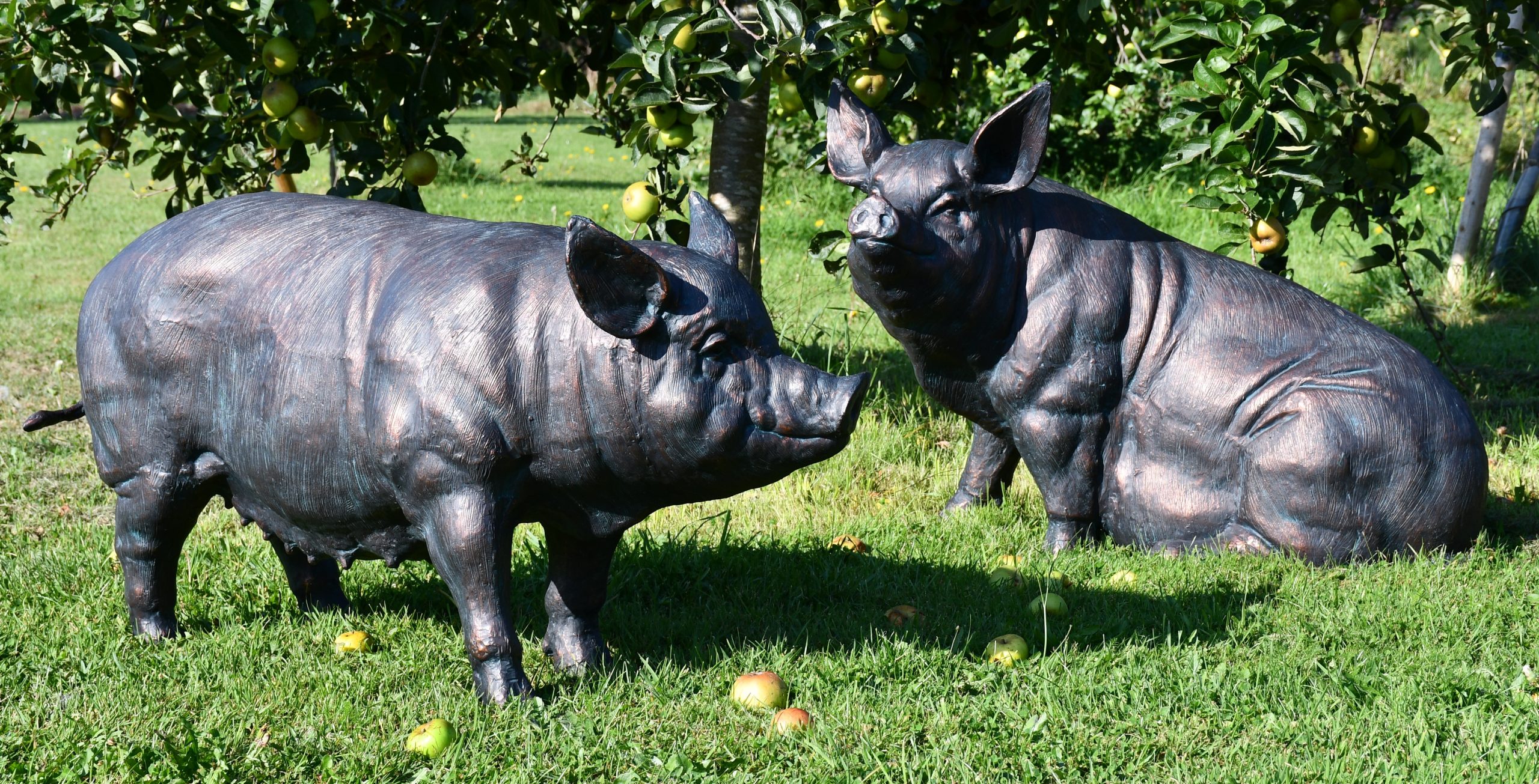 Watchful Pig & Contented Pig Pair - Garden Wonders UK
